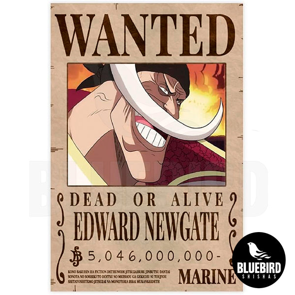 POSTER ONE PIECE WANTED COLECCIONABLE - EDWARD NEWGATE – BLUEBIRD SHISHAS